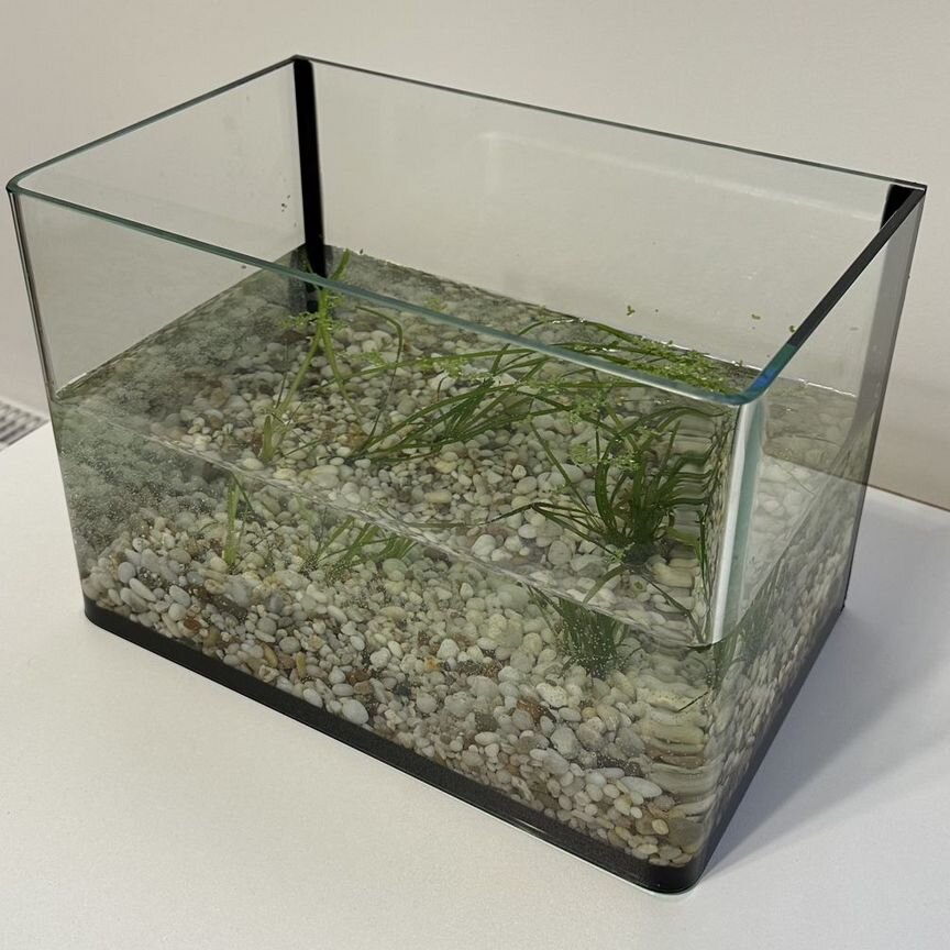 Аквариум для запуска