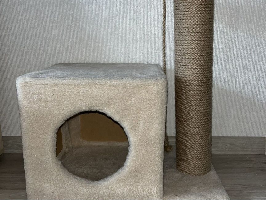 Когтеточка