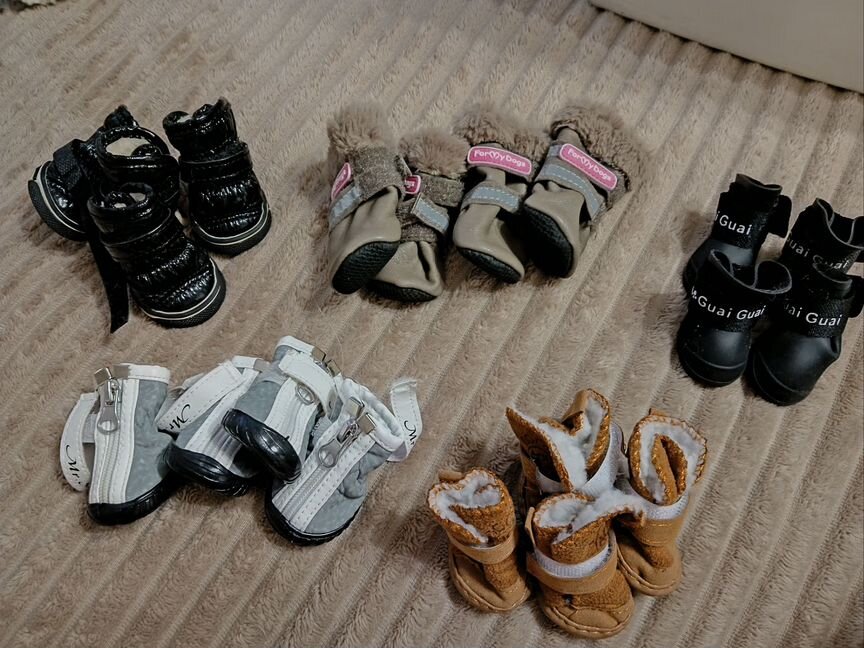 Ботинки для маленьких собак