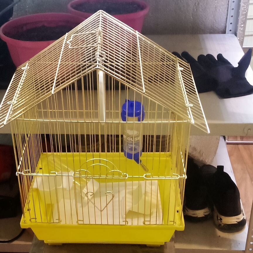 Клетка для попугая можно для грызунов