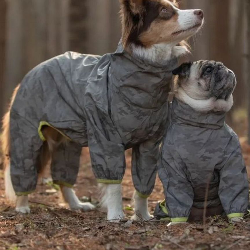 Вещи для собаки