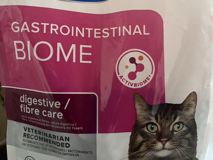 Корм для кошек