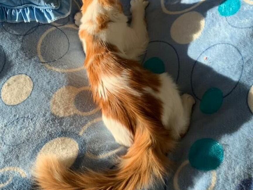 Я буду всегда рядом, особенно в кроватке