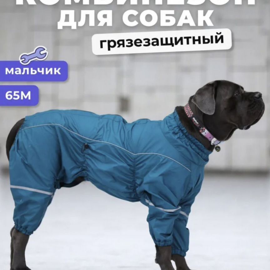 Комбинезон для собаки