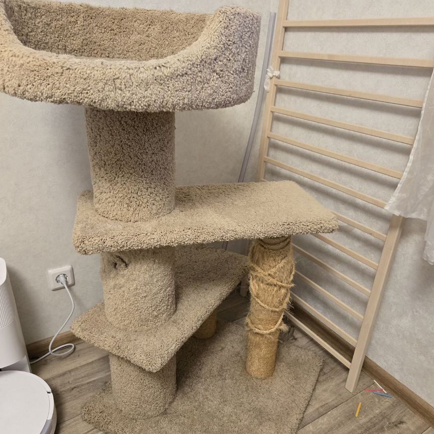 Когтеточка