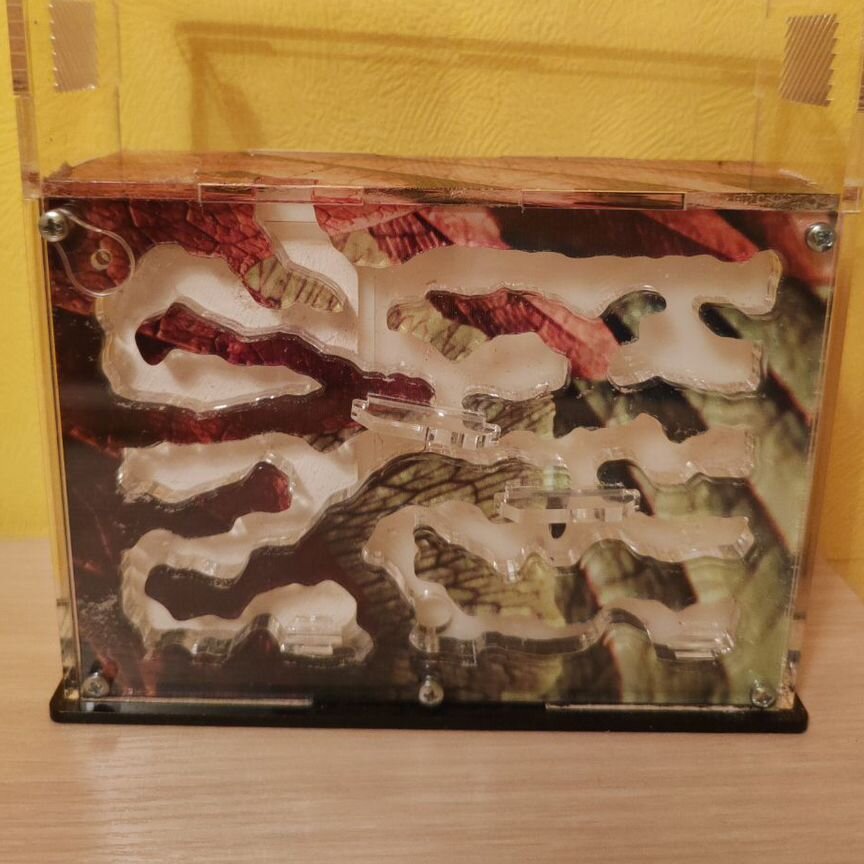 Формикарий вертикальный