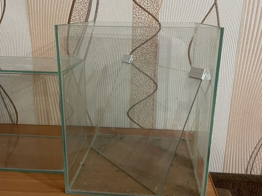 Аквариумы и аквариумная лампа