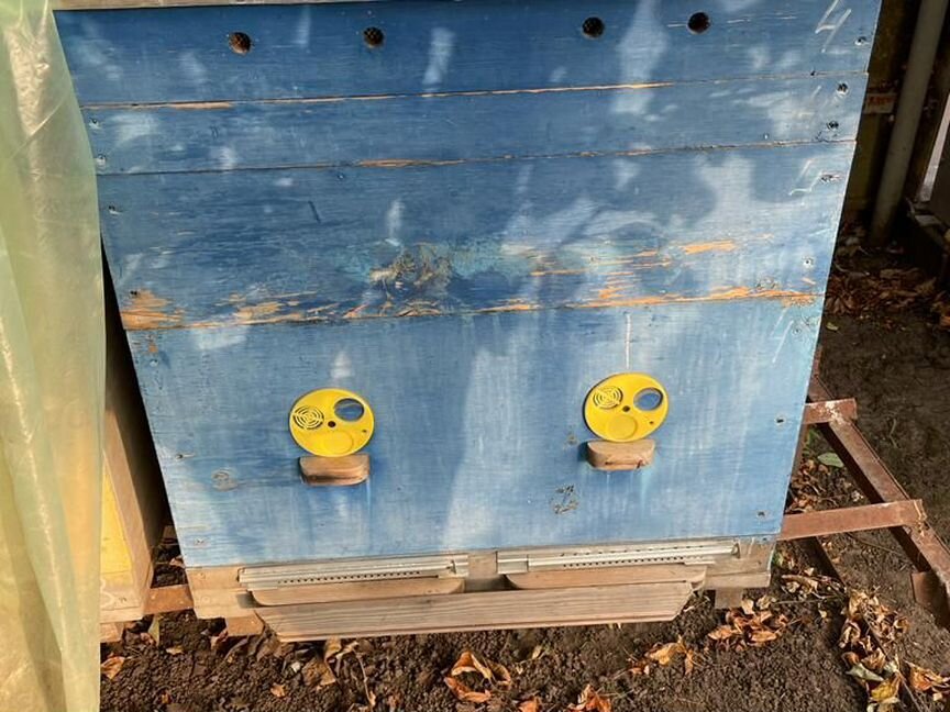 Продам Улья для пчёл