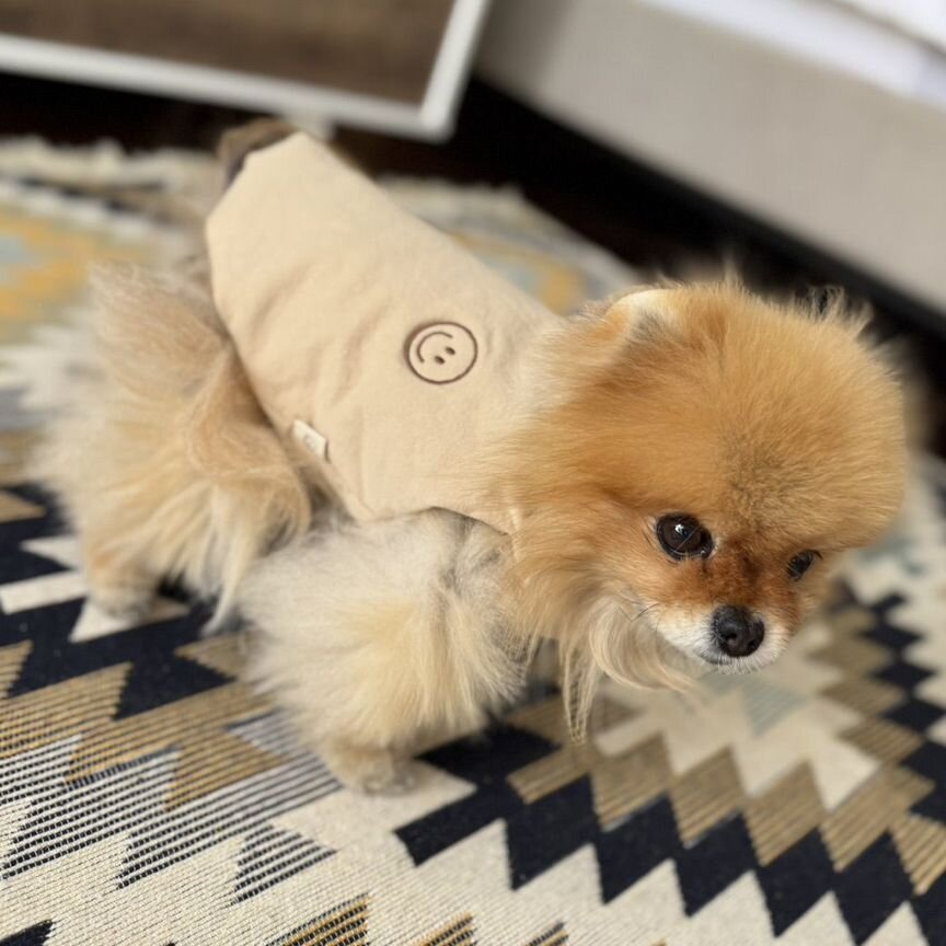 Двусторонний жилет для собаки