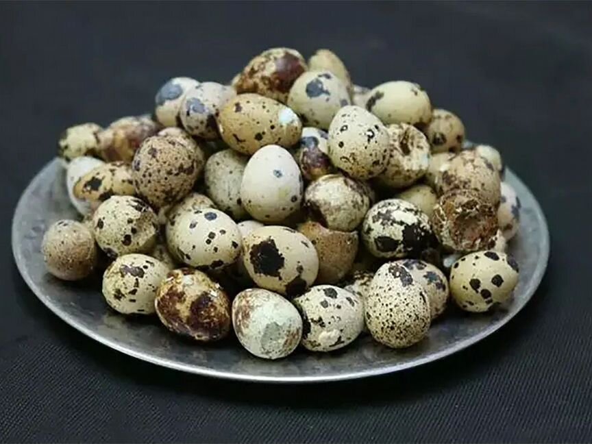 Яйца перепелиные