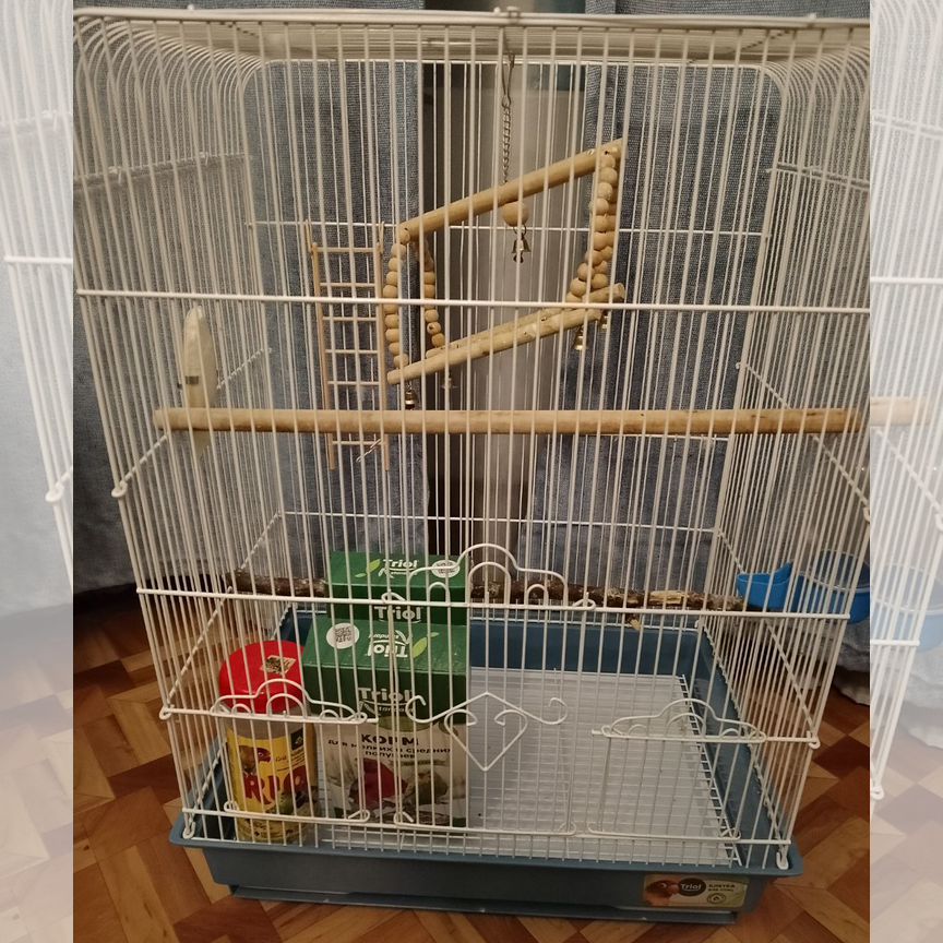 Клетка для попугая