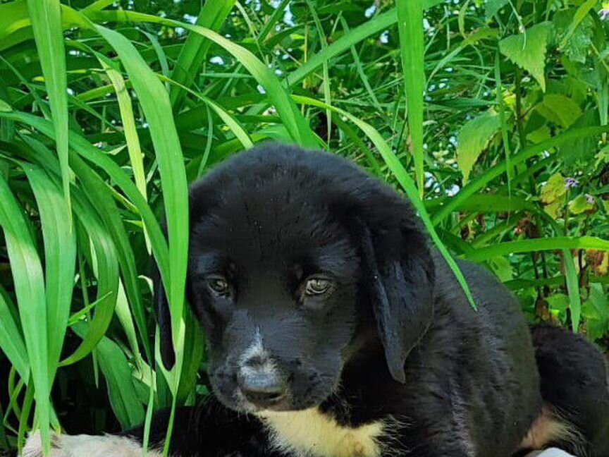 Я вырасту большой и обаятельной