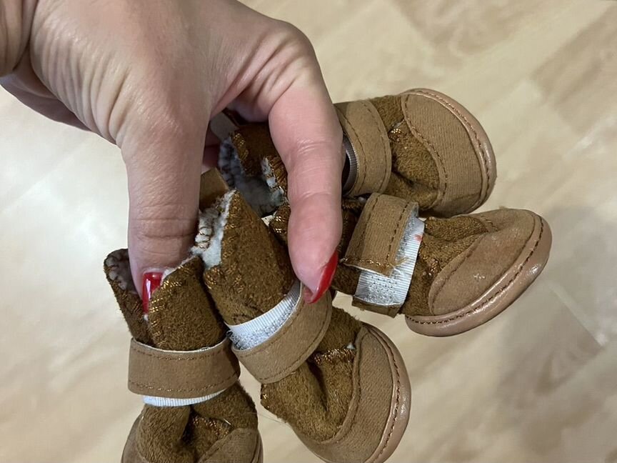 Обувь для собак