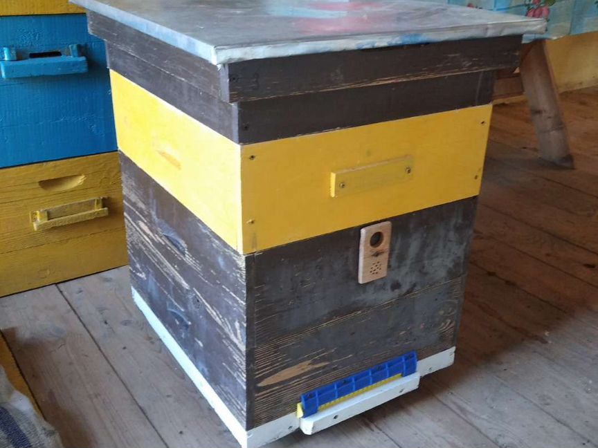 Улей дадан 10