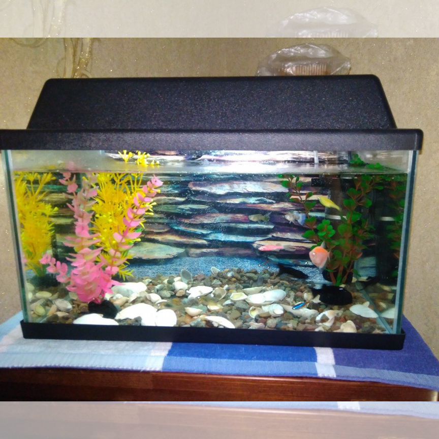 Аквариум 20л   аксессуары