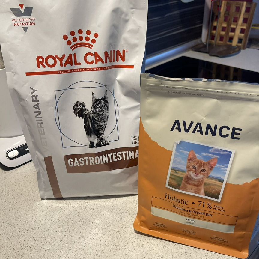 Корм для кошек