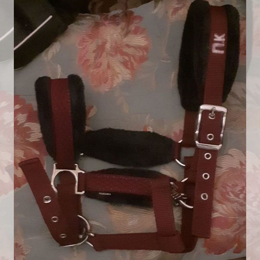 Недоуздок для лошади