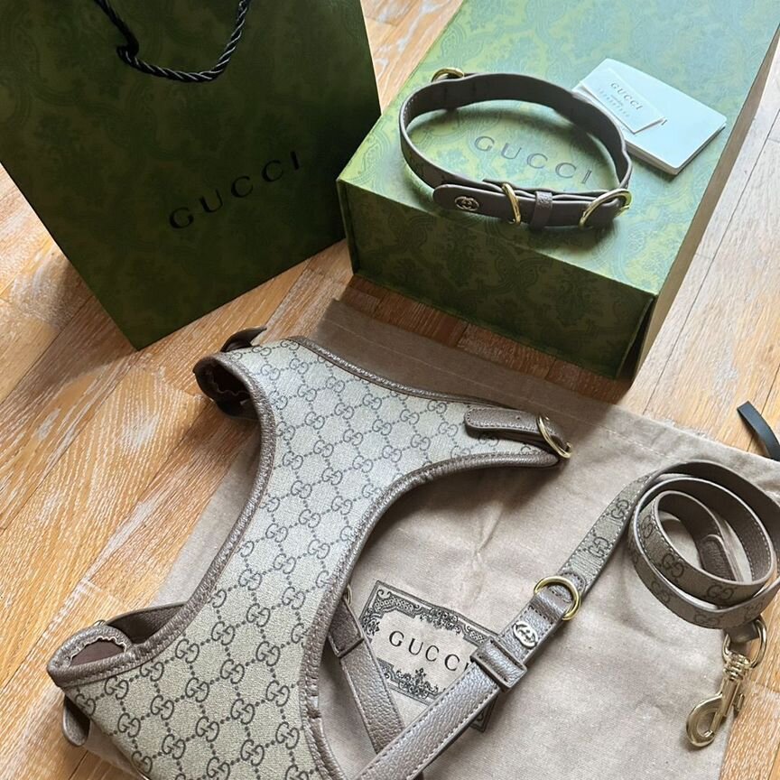 Ошейник, шлейка, поводок Gucci