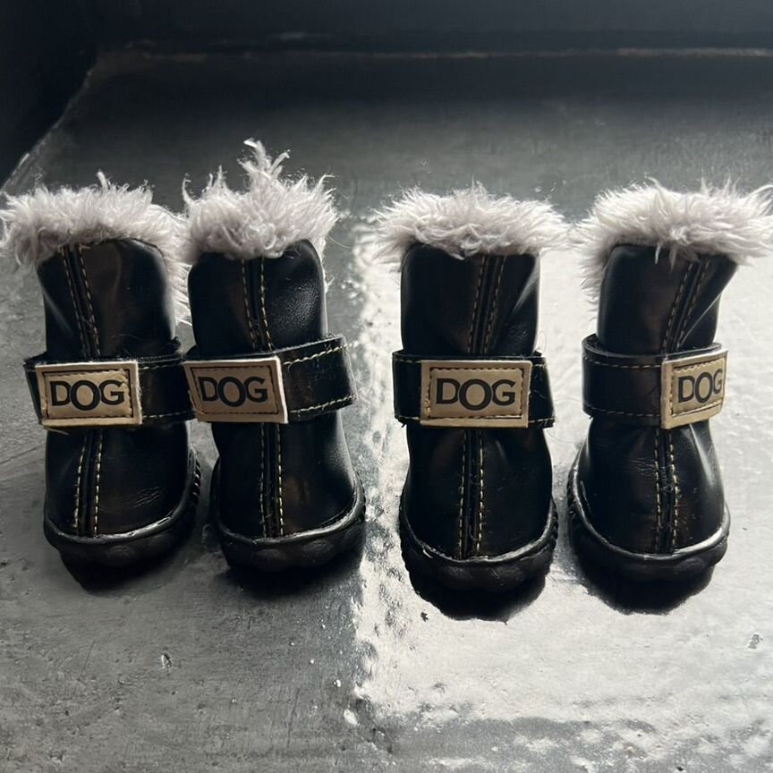 Ботинки для собак мелких пород