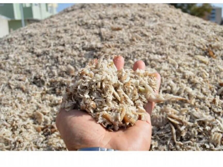 Жом свекловичный