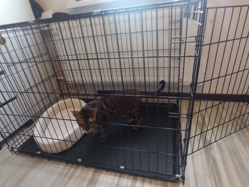 Клетка/вольер 108х72х77 для кошек/собак