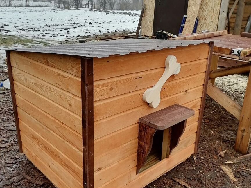 Собачья конура