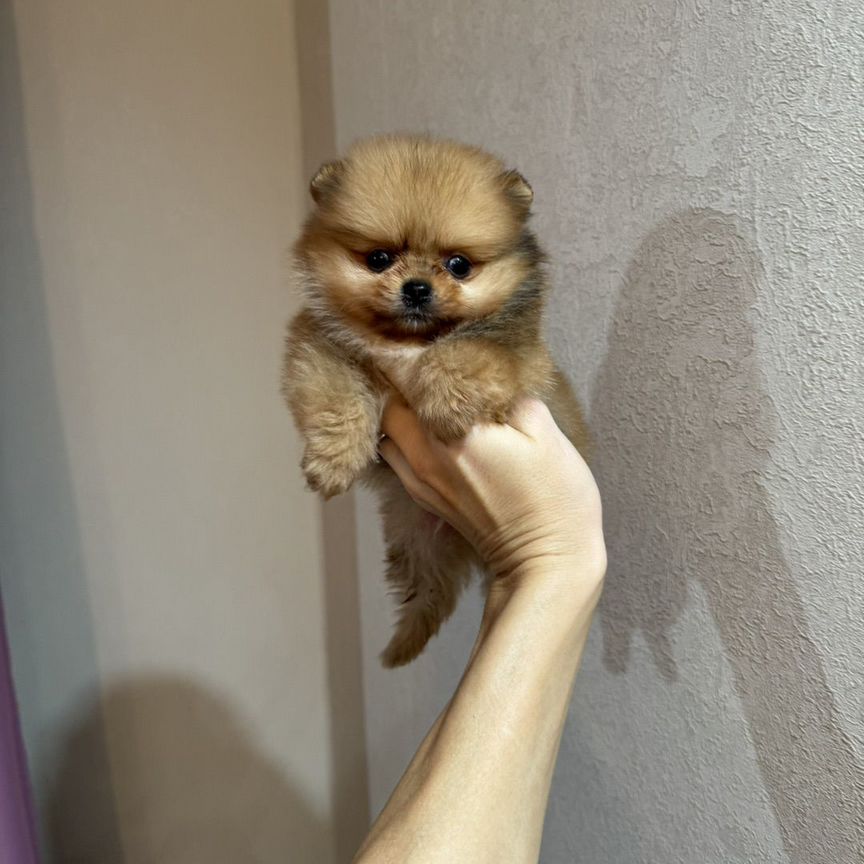 Микро мальчик