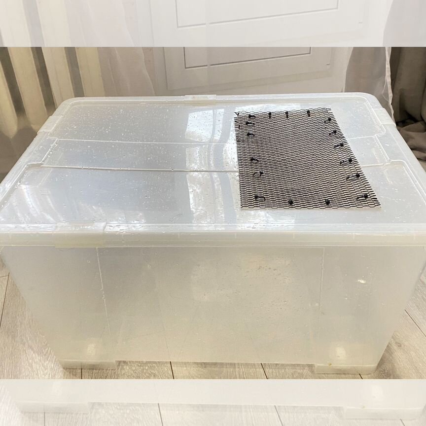 Контейнер для грызунов 78х56х43 см