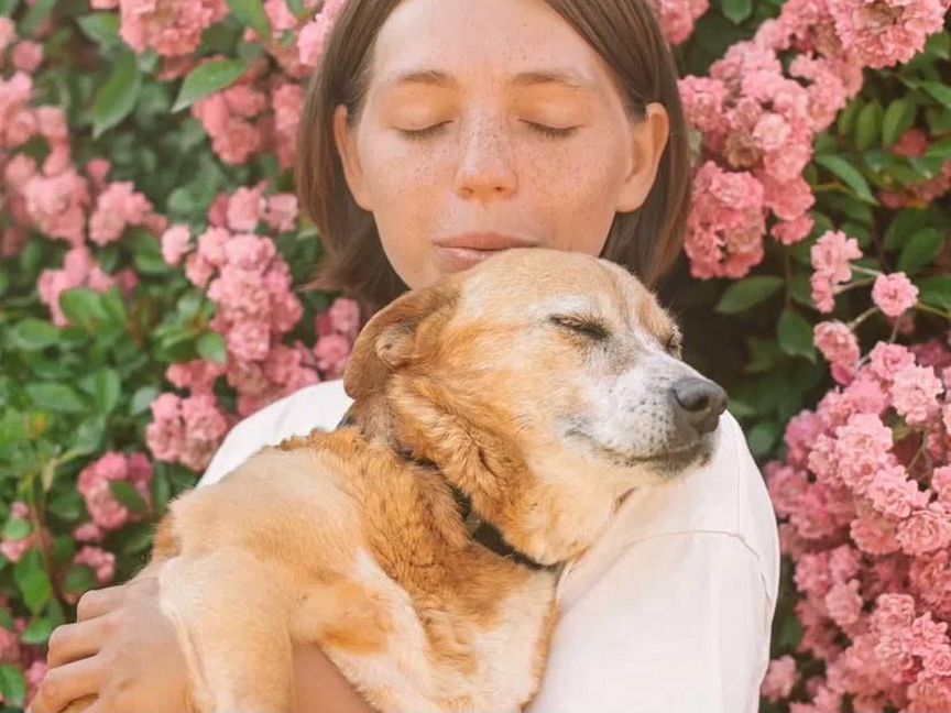 Соня маленькая собачка в добрые руки