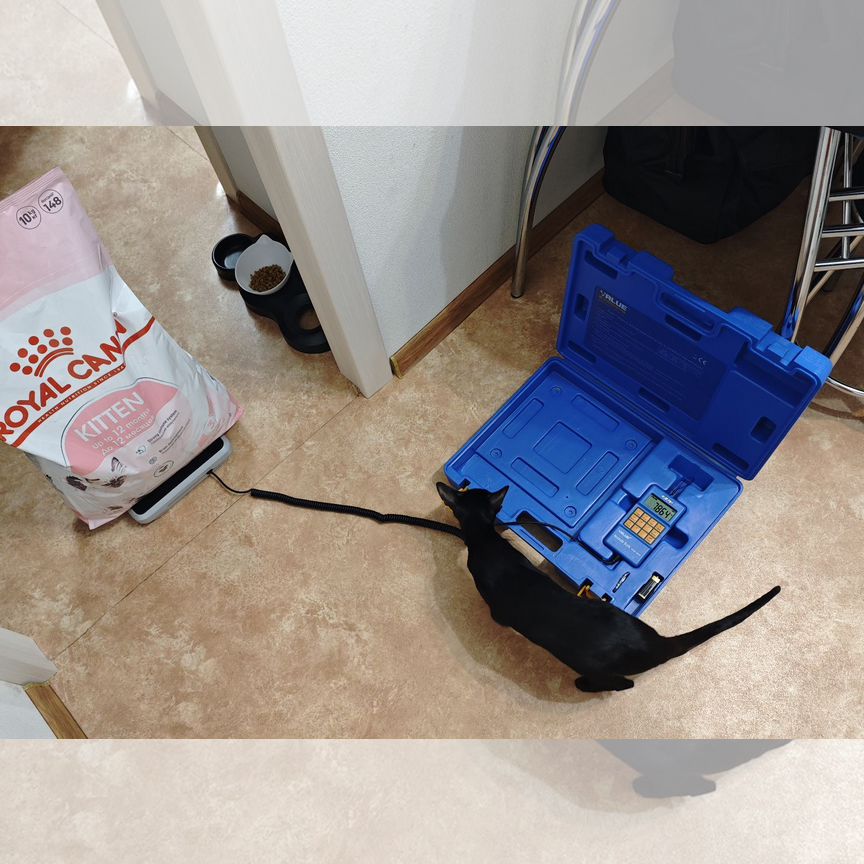 Корм для кошек royal canin