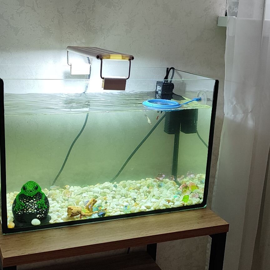 Аквариум с рыбками