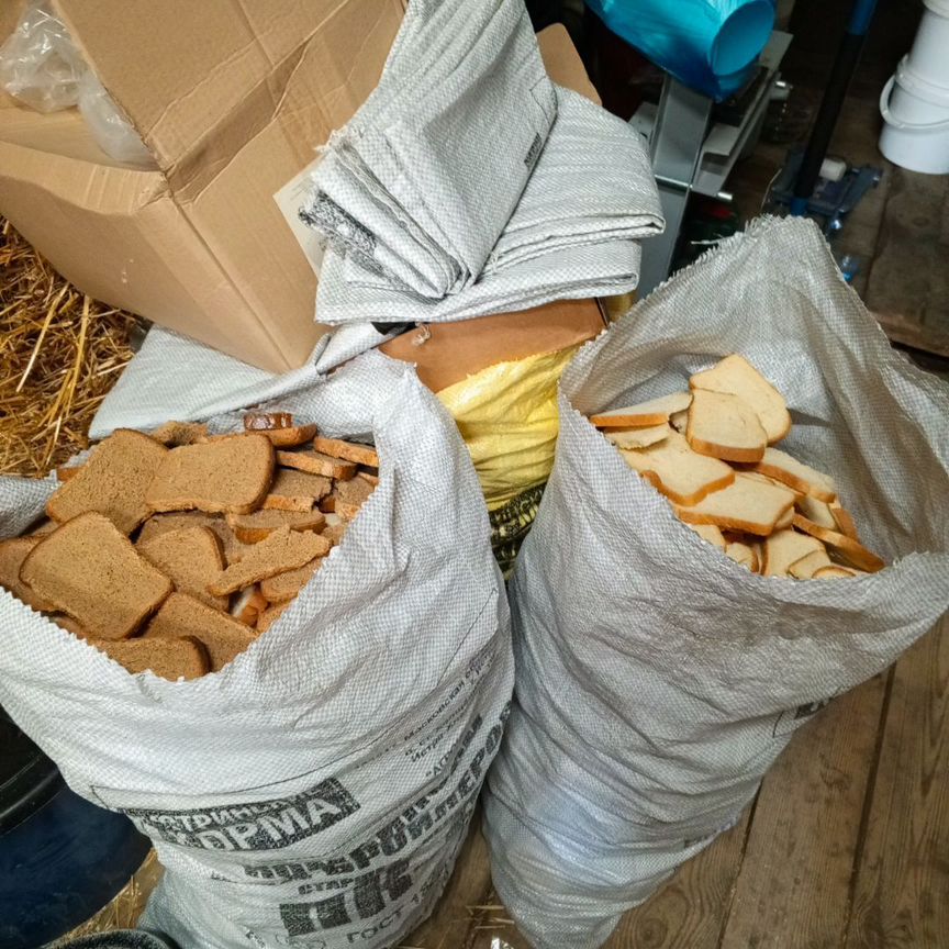 Хлеб сухари для животных