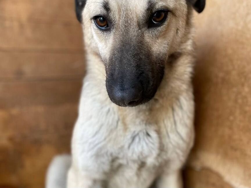 С самого детства видишь только решётку