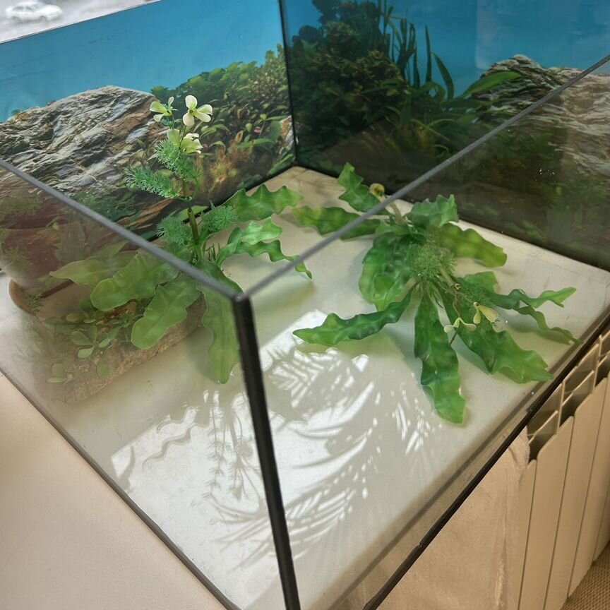 Аквариум для черепах 50 литров