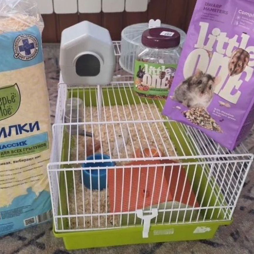 Клетка для хомяка с хомяком