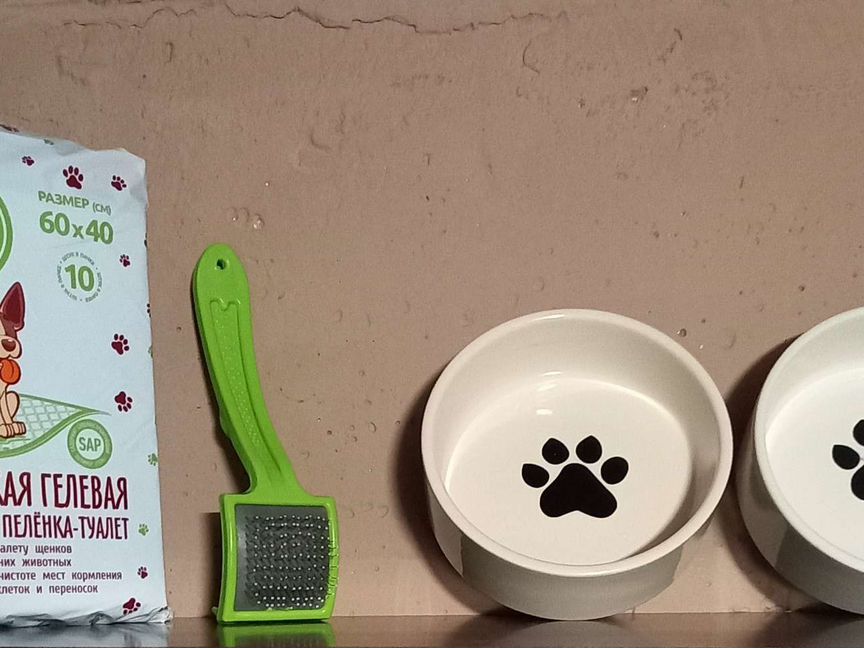 Наполнитель, пелёнки, миски, щётка