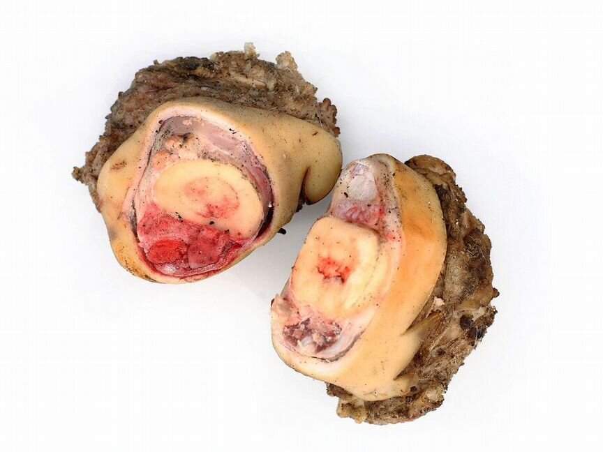 Косточки для собак