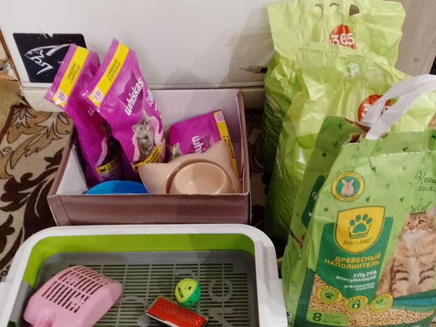 Набор для кошек