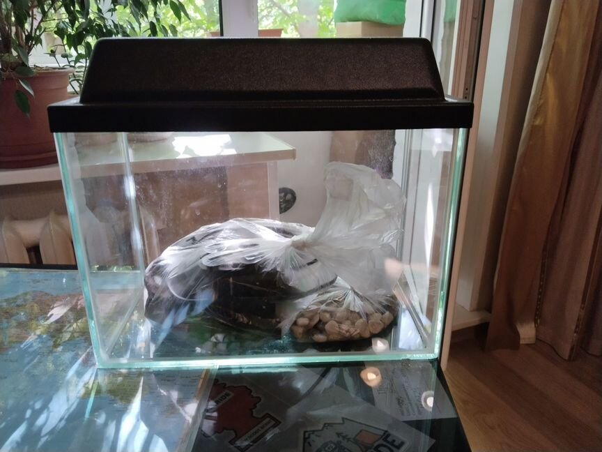 Аквариум и аксессуары