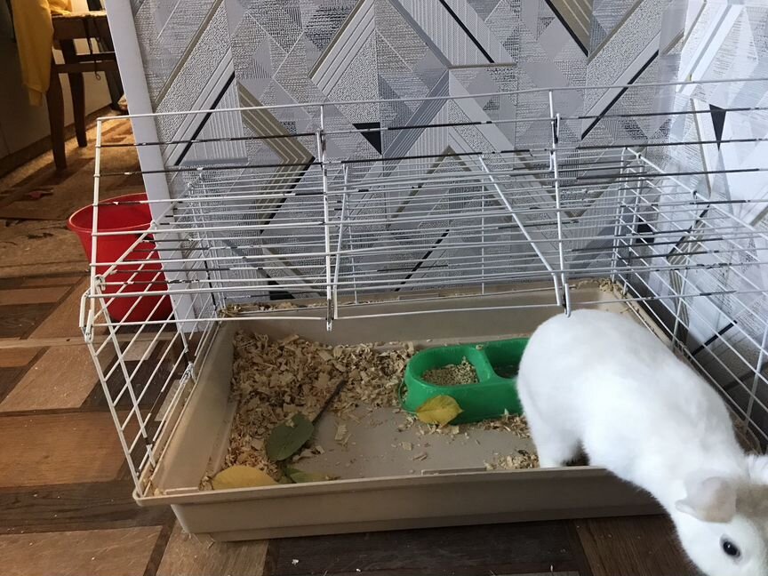 Клетка для кролика