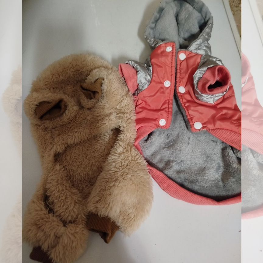 Одежда для собак мелких пород xs