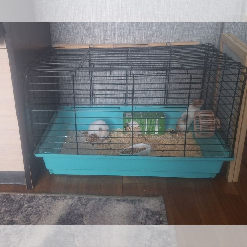 Клетка для грызунов