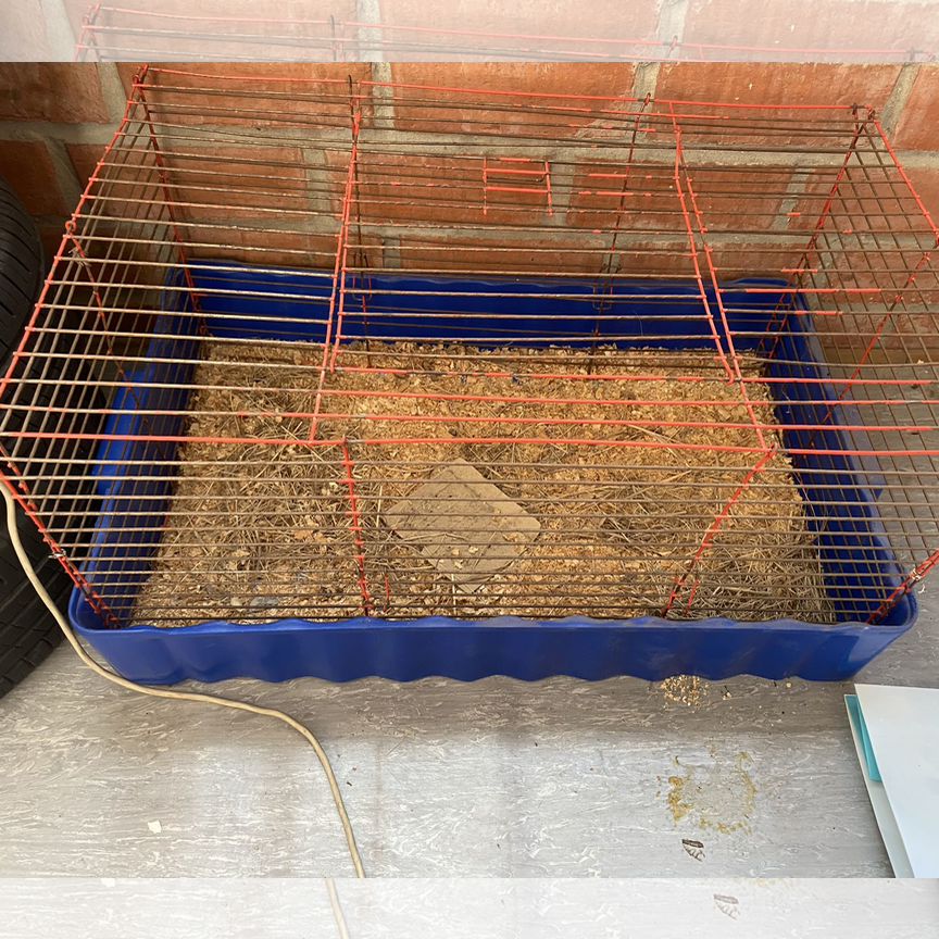 Клетка для грызунов