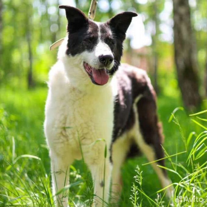 Спасите меня пока не поздно