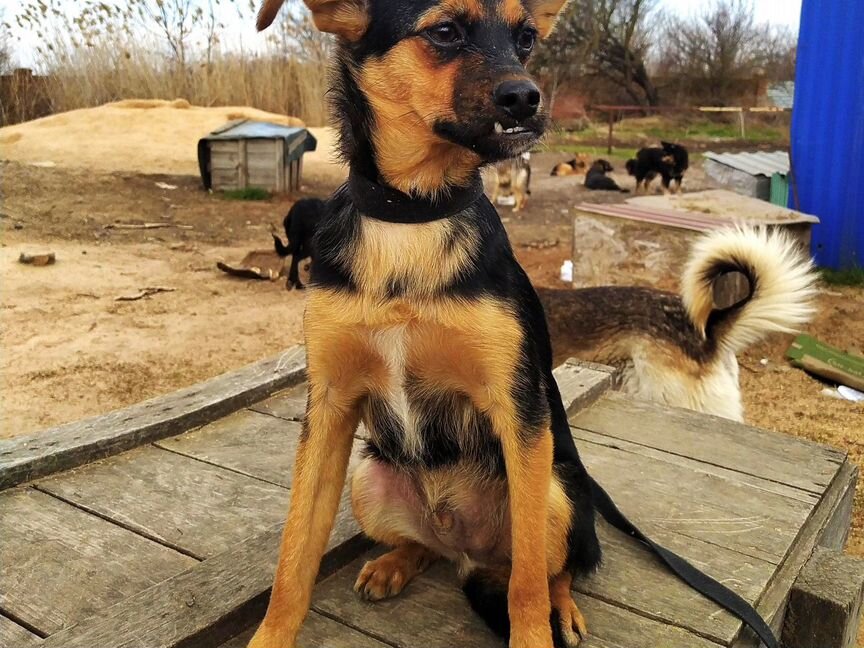 Мелкий Очаровательный подросток в добрые руки