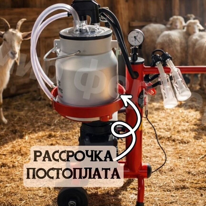 Доильный аппарат в рассрочку