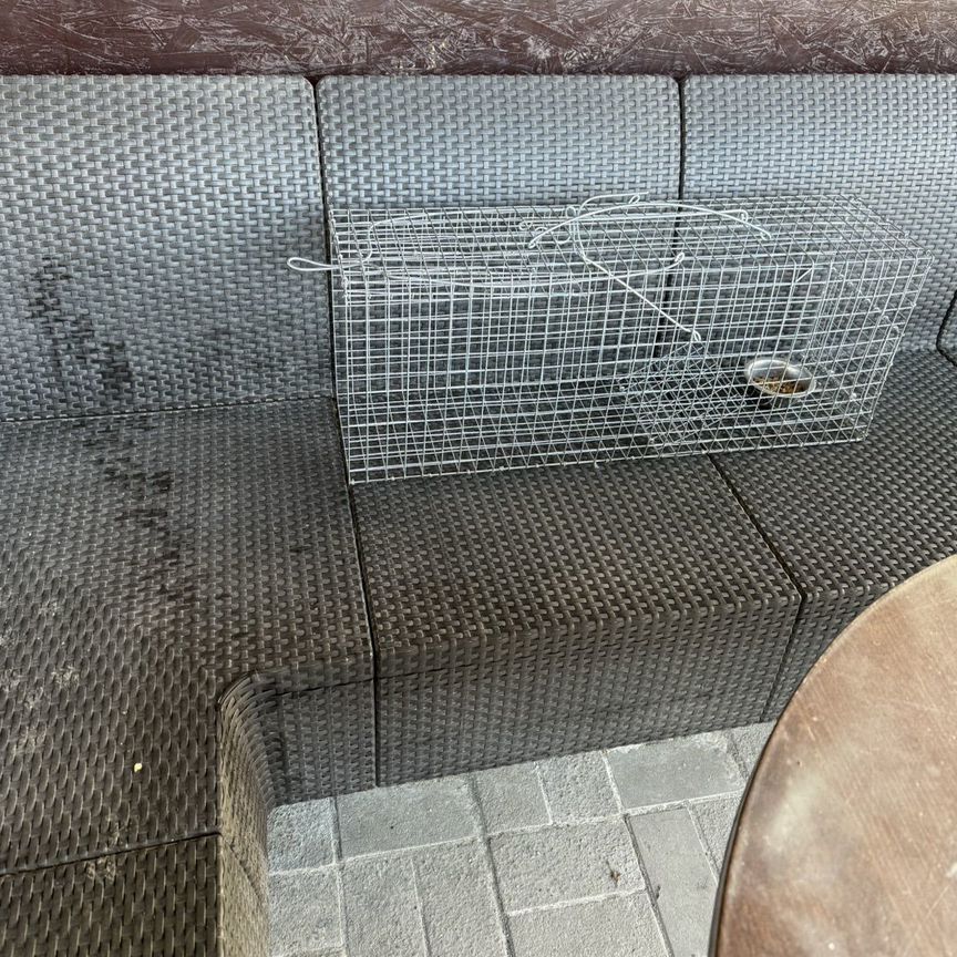 Клетка котоловка