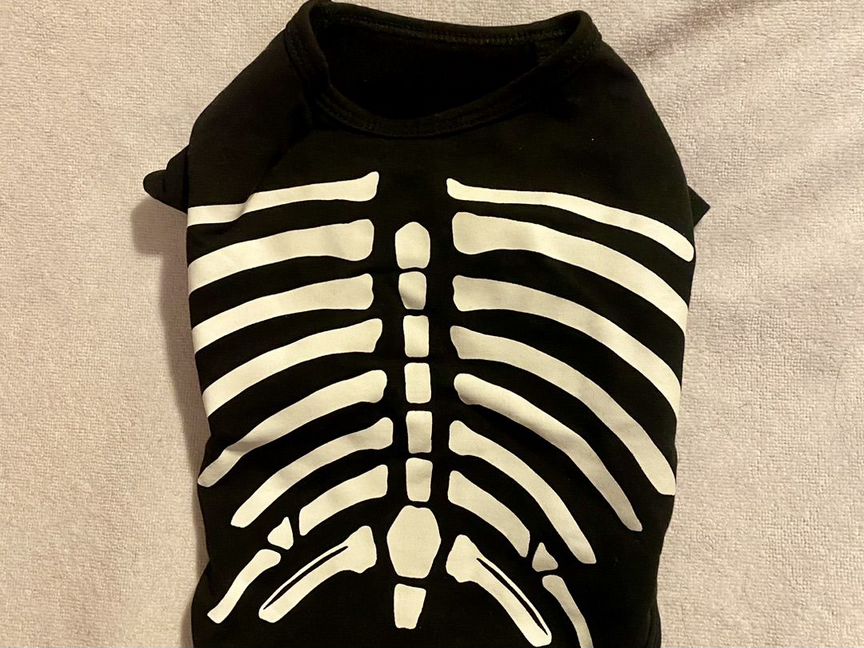 Комплект одежды для сфинкса (4 штуки)