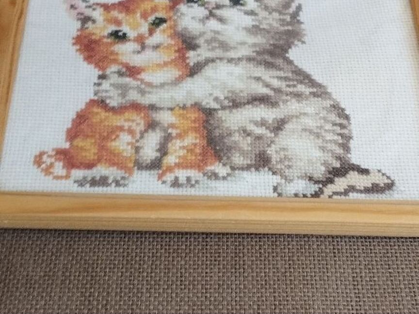 Замечательные котики