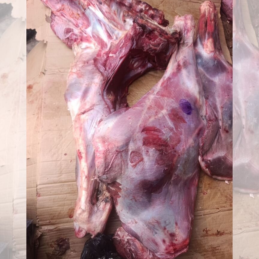 Туша говядины собакам